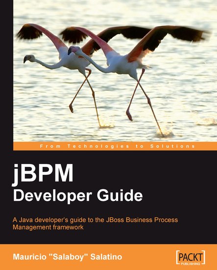 jBPM Developer Guide - Read book online