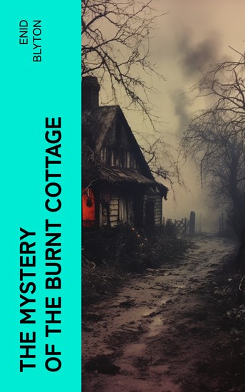 The Mystery of the Burnt Cottage - Read book online for free