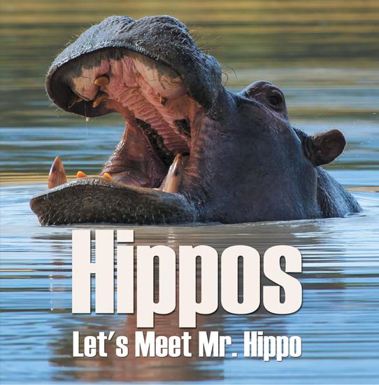 Hippos - Let's Meet Mr Hippo - Hippo Books for Children - Read book online